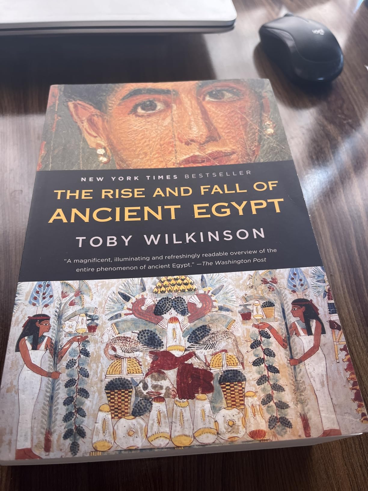 Buy The Rise and Fall of Ancient Egypt Book Online at Low Prices in ...