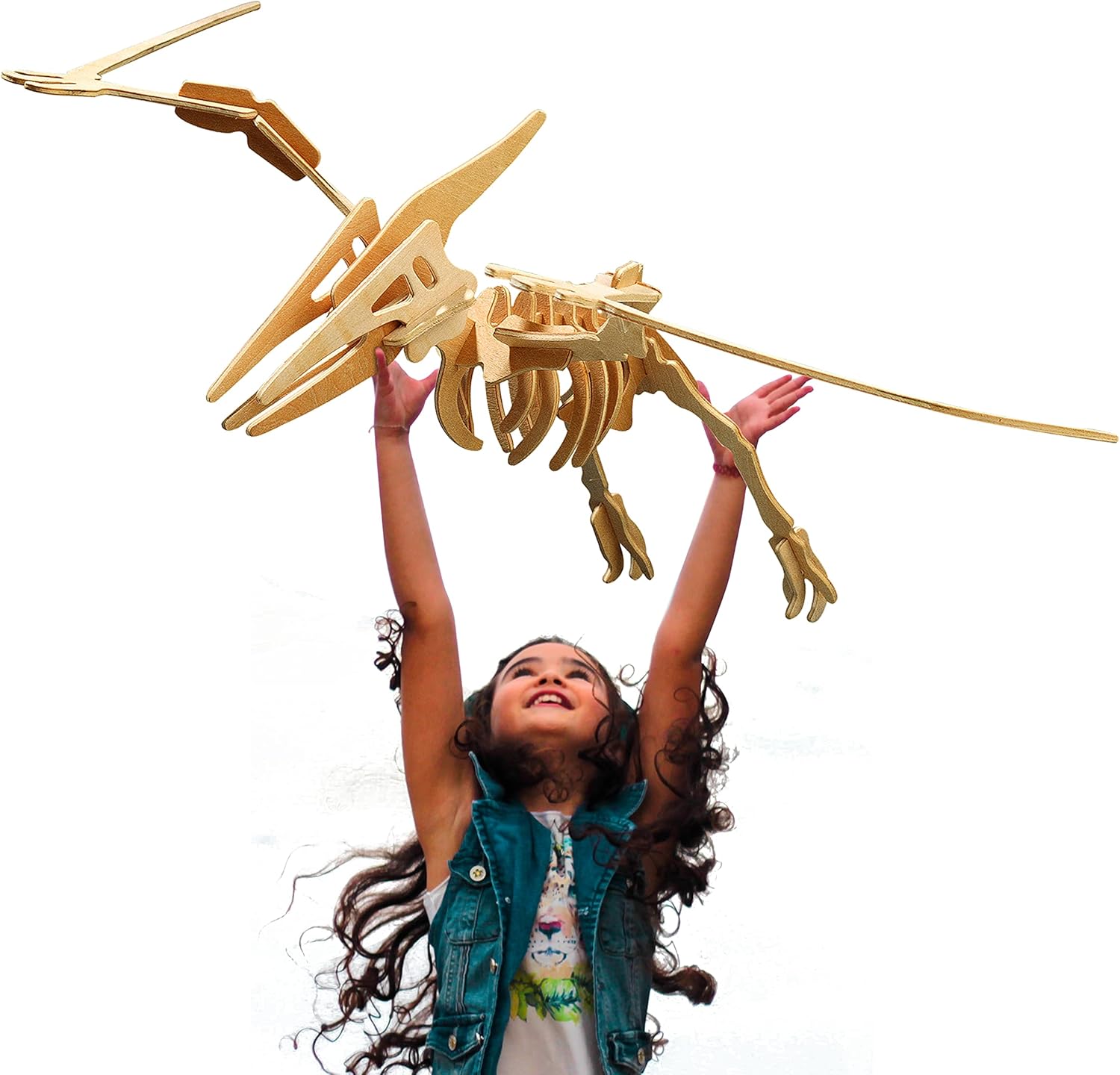 Amazon.com: 3D Puzzle Pterodactyl Dinosaur Wood Craft Construction ...