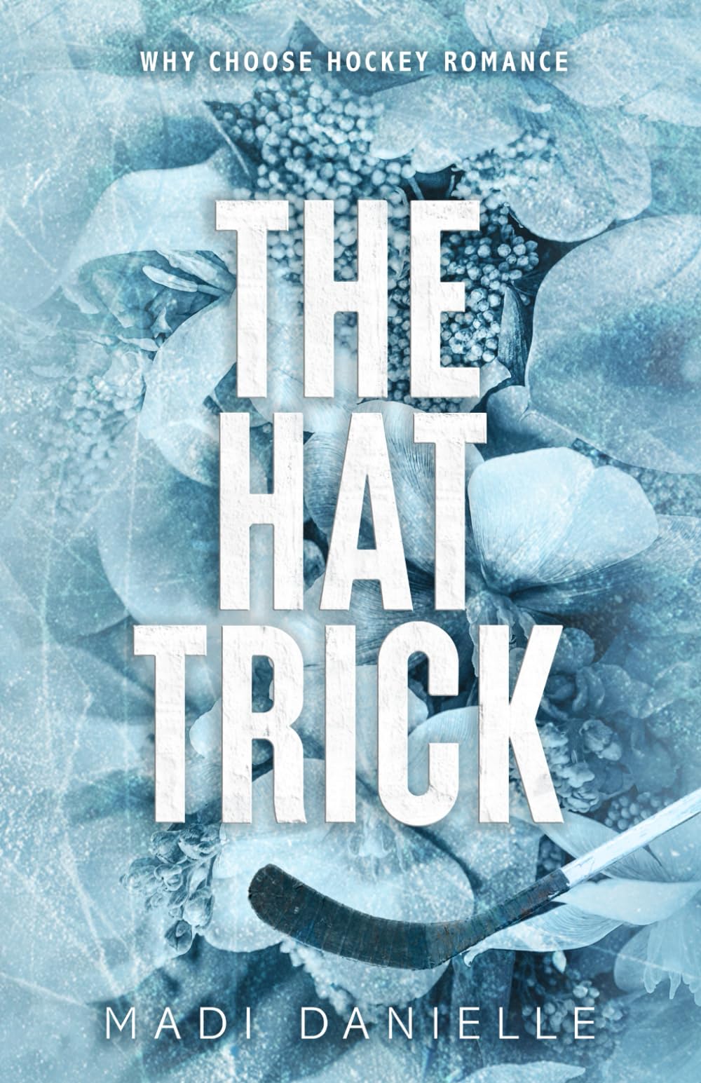 Amazon.com: The Hat Trick (Denver Dragons Series): 9798389807082: Danielle, Madi: Books