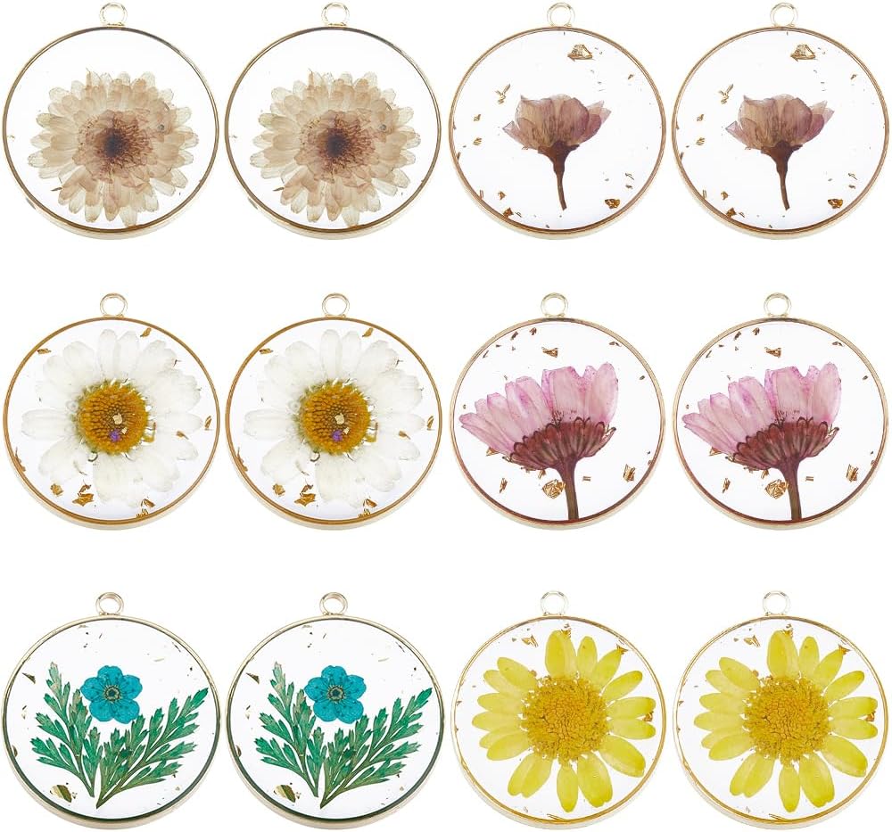 Amazon.com: SUNNYCLUE 1 Box 12Pcs 6 Colors Dried Flower Resin Charms ...