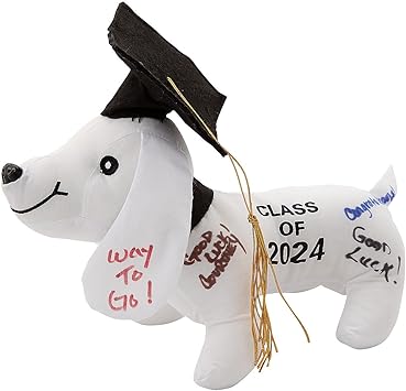 Amazon.com: Fun Express Graduation Class of 2024 11"" Autograph Stuffed ...
