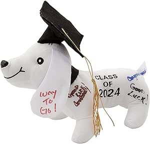 Amazon.com: Fun Express Graduation Class of 2024 11"" Autograph Stuffed ...