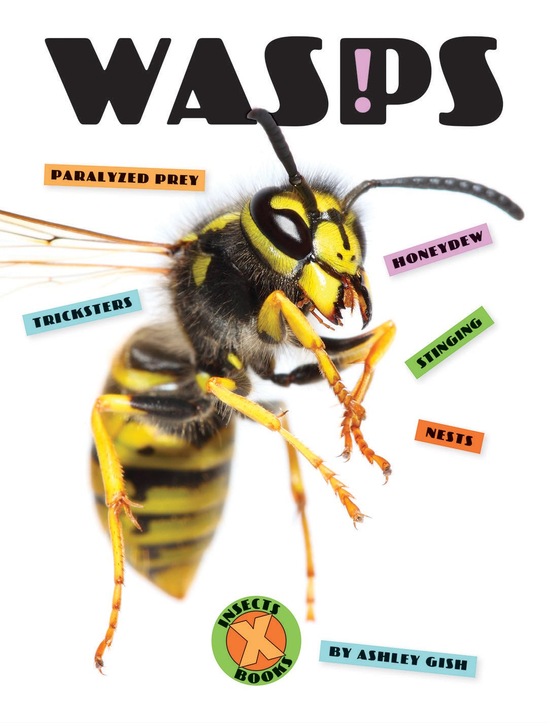 Wasps (X-Books: Insects) : Gish, Ashley: Amazon.co.uk: Books