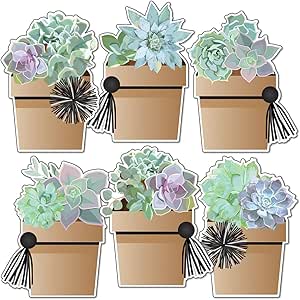 Amazon.com: Schoolgirl Style Simply Stylish 36-Piece Potted Succulent ...