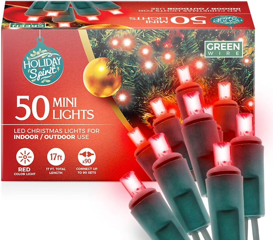 HOLIDAY SPIRIT 50 Count Christmas String Lights - Red LED Lights ...