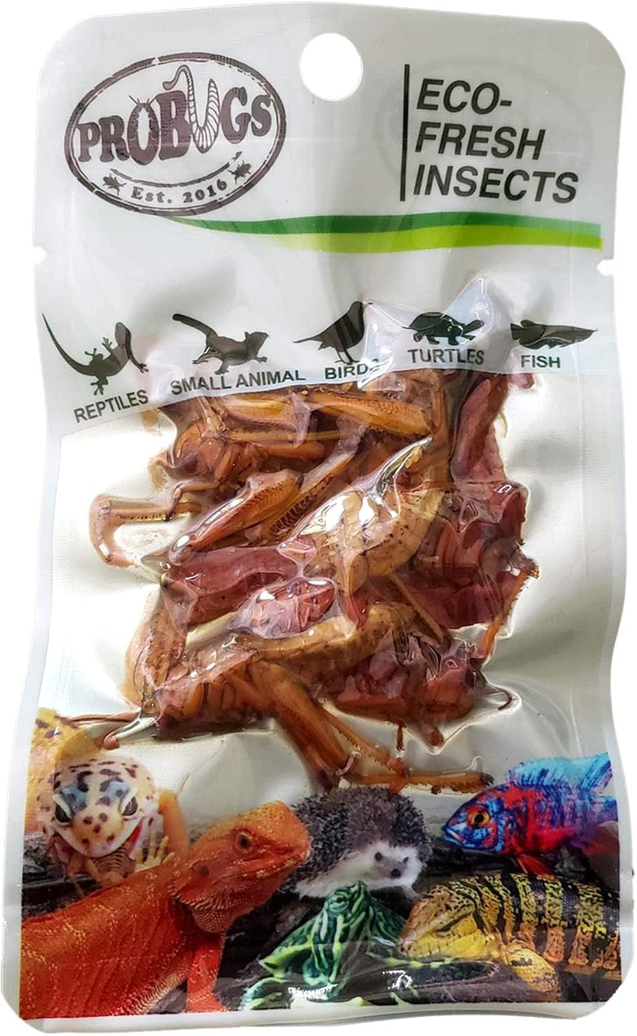 ProBugs Eco-Fresh Insects Grasshoppers 3 Pouches : Amazon.ca: Pet Supplies