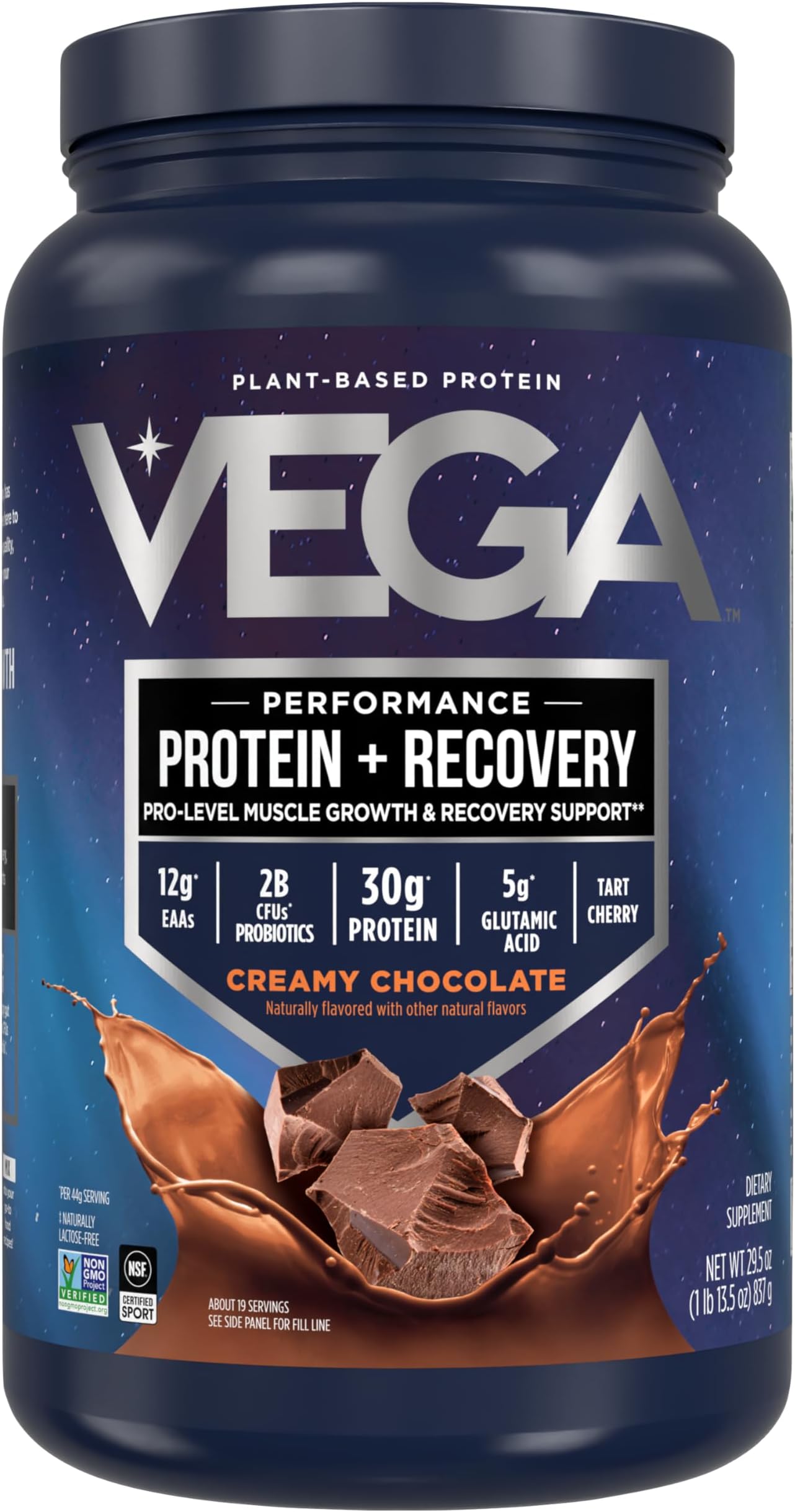 Amazon.com: Vegan Protein Powder, Chocolate Fudge - 100% Plant Protein ...