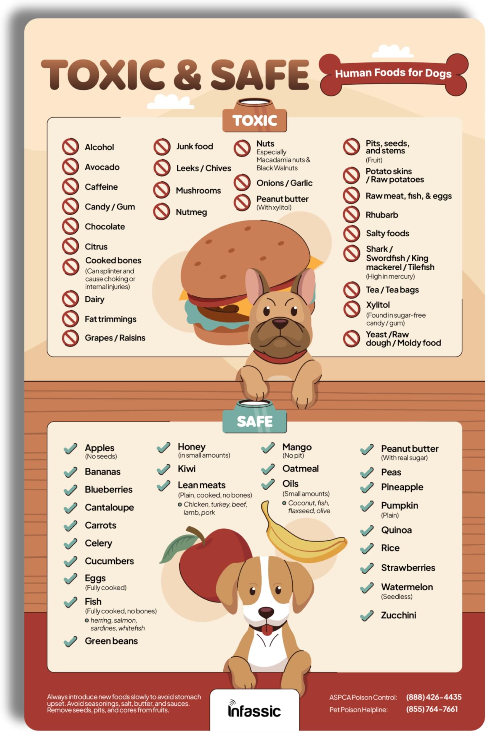 Amazon.com: Food Dogs Shouldn’t Eat Magnet | List of Toxic and Safe ...