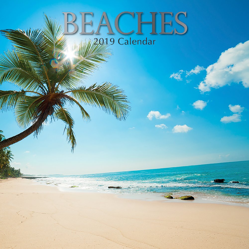 Amazon.com: Beaches 2019 Calendar: 9781788384025: Gifted Stationery ...