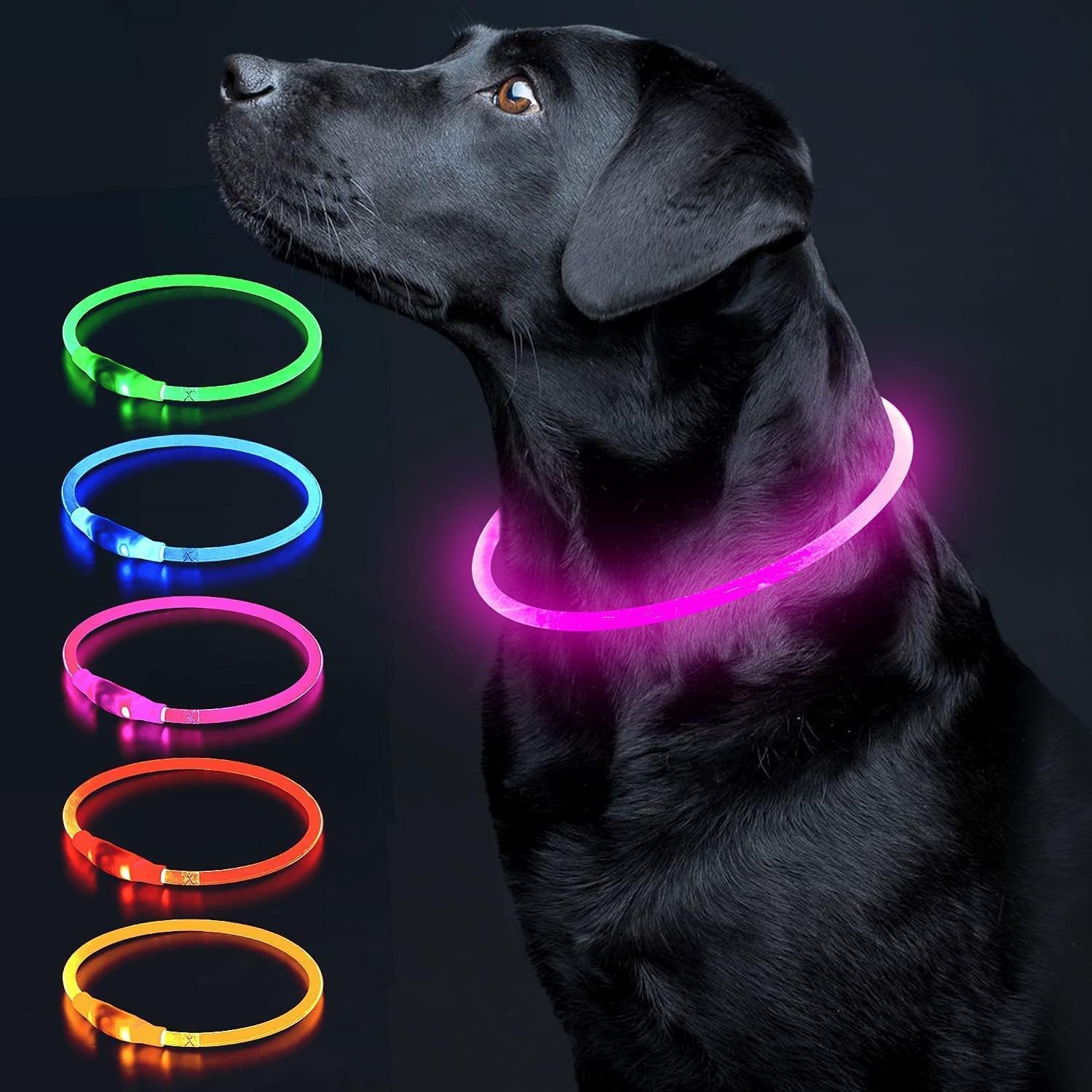 LED Dog Collar,Glow Light Collar for Dogs,Ultra Bright USB Rechargeable ...
