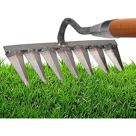 Amazon.com : Geraffely Dethatcher Rake | 4/5/6/7 Rake, Gardening Hand ...
