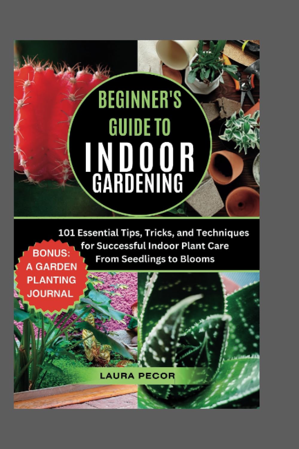 Beginner's Guide to Indoor Gardening: 101 Essential Tips, Tricks, and ...