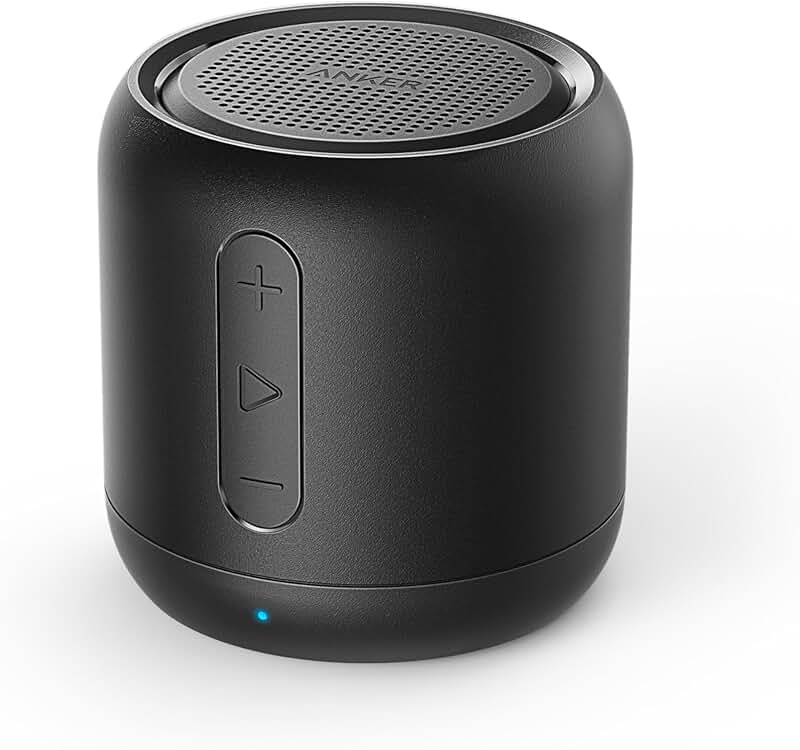 Amazon.ca: Speakers