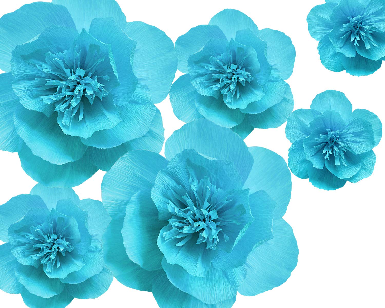 Beautiful Sky Blue Flowers