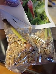 Amazon.com : Hawaiian RED (Awapuhi`Ula`Ula) Ginger Plant Root-Comes ...