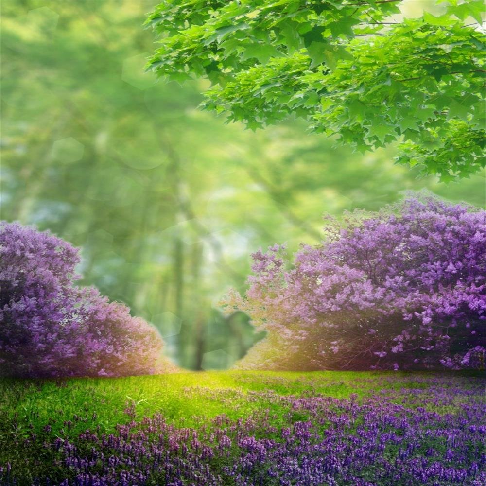 Beautiful Backgrounds For Photo Studio