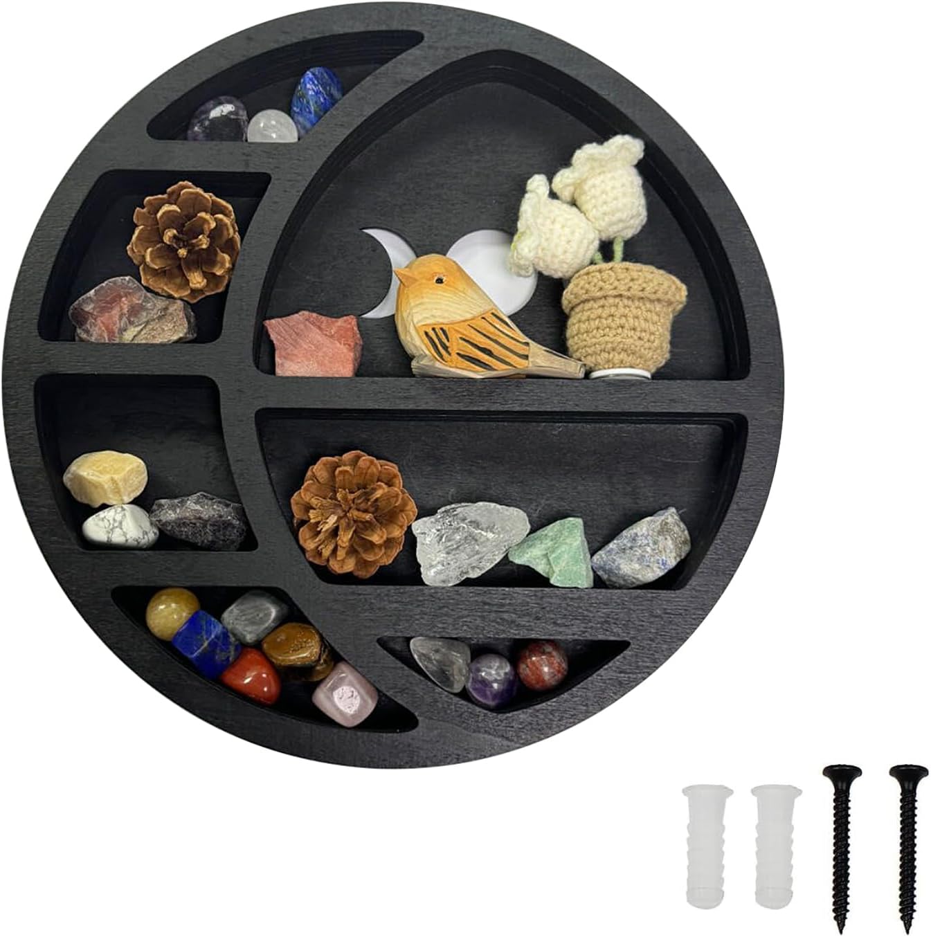 Amazon.com: Petite Crystal Display Shelf with Black Ammonite, Rustic ...