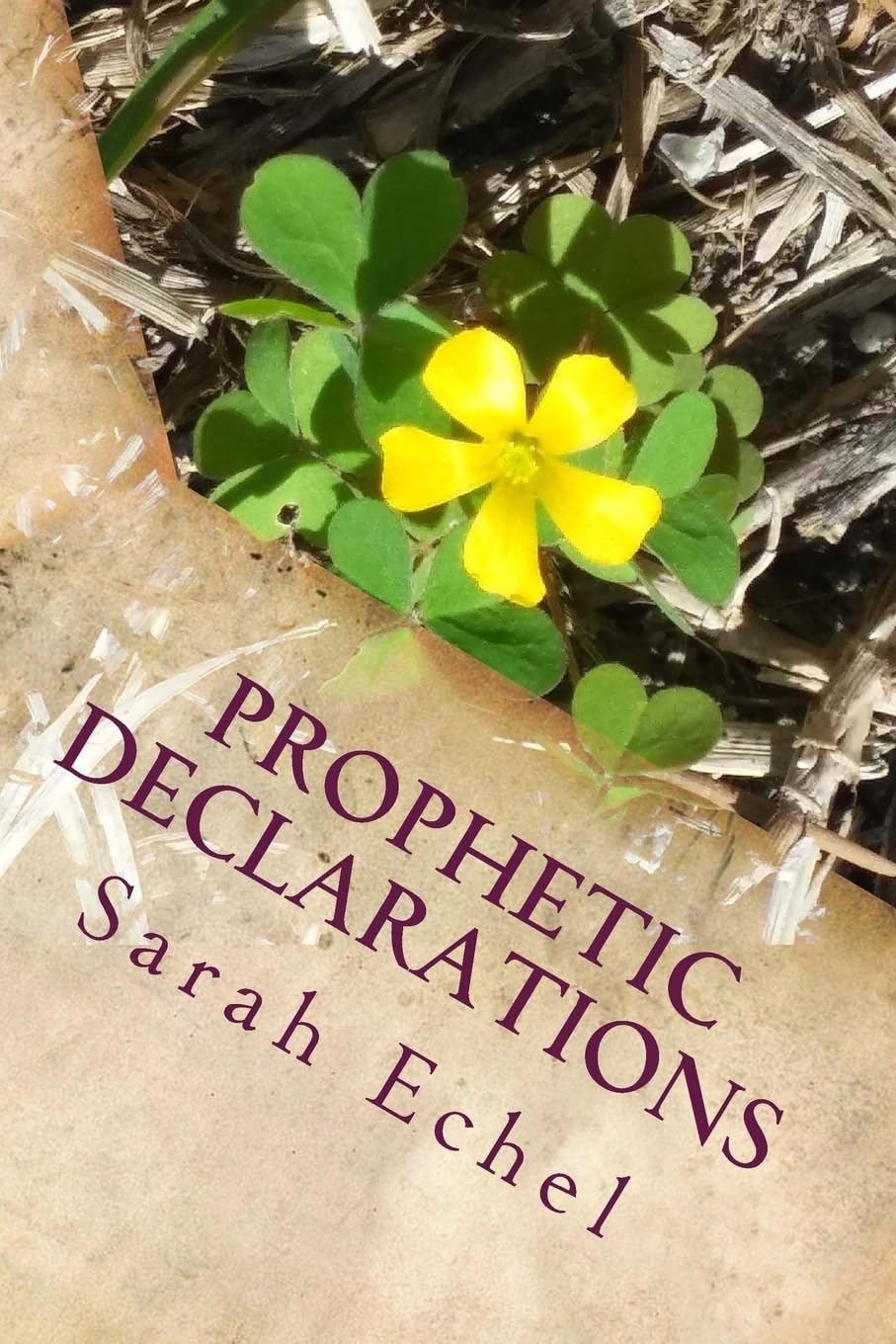 Amazon.com: Prophetic Declarations: Heaven Released Through the Power ...