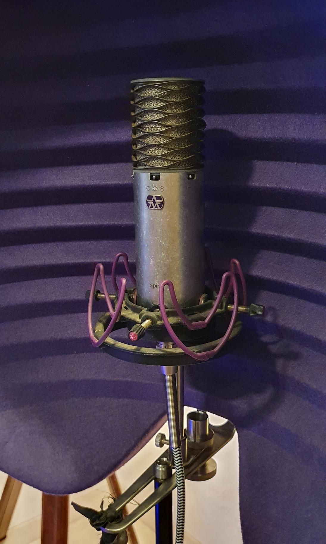 Amazon Basics AmazonBasics Microphone Cable - 10 Feet, Black, White ...