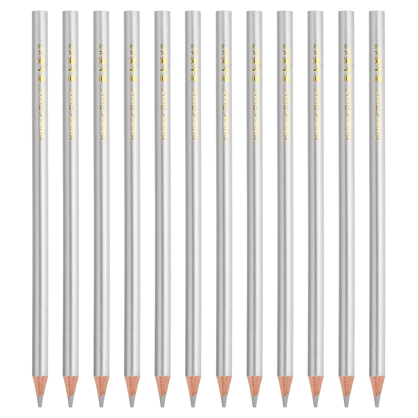 Amazon.com : PATIKIL Silver Colored Pencils Set,12 Pcs Oil Color ...