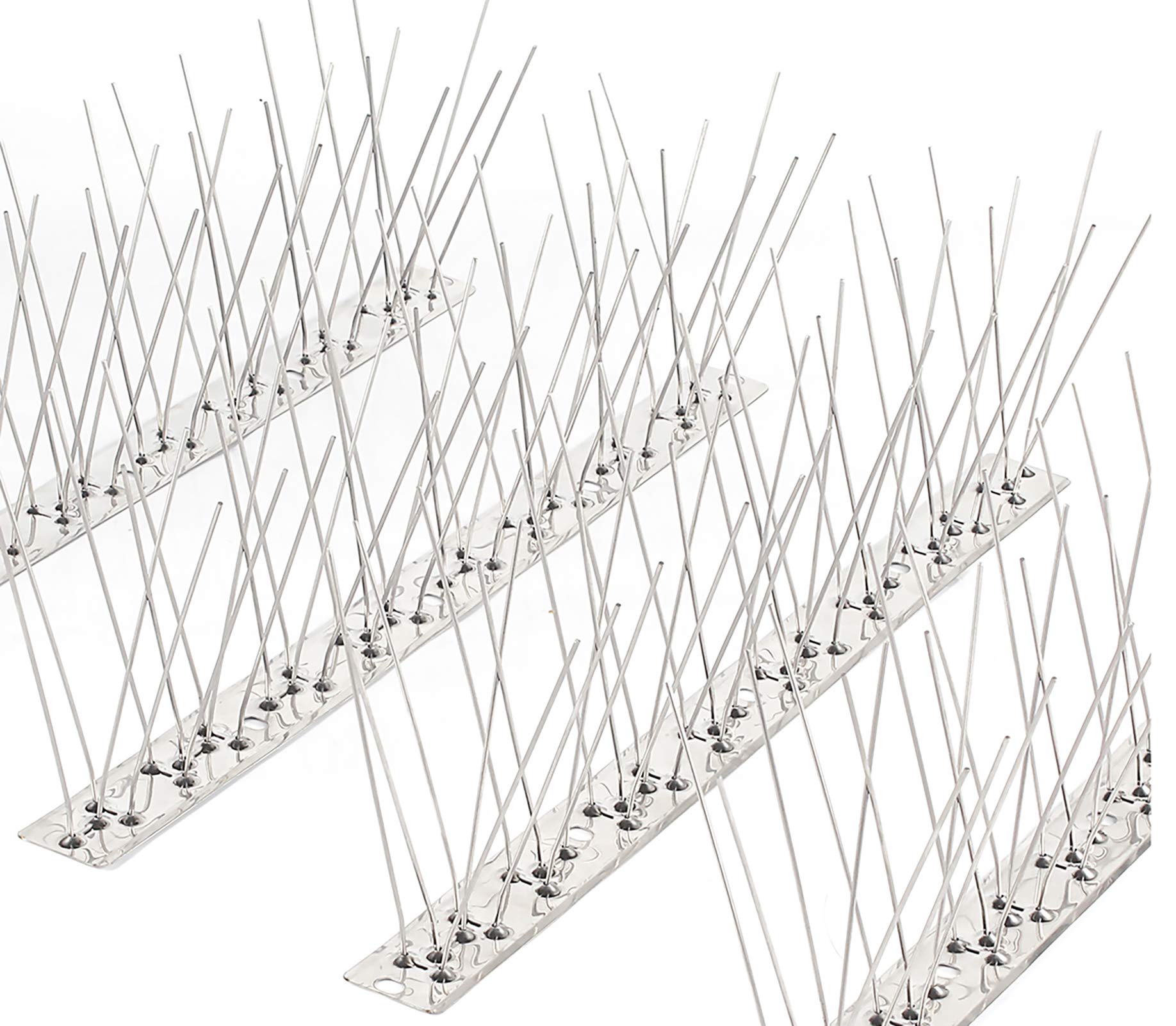 Snapklik.com : Bird Spikes For Small Birds Pigeons Metal Anti Spike ...