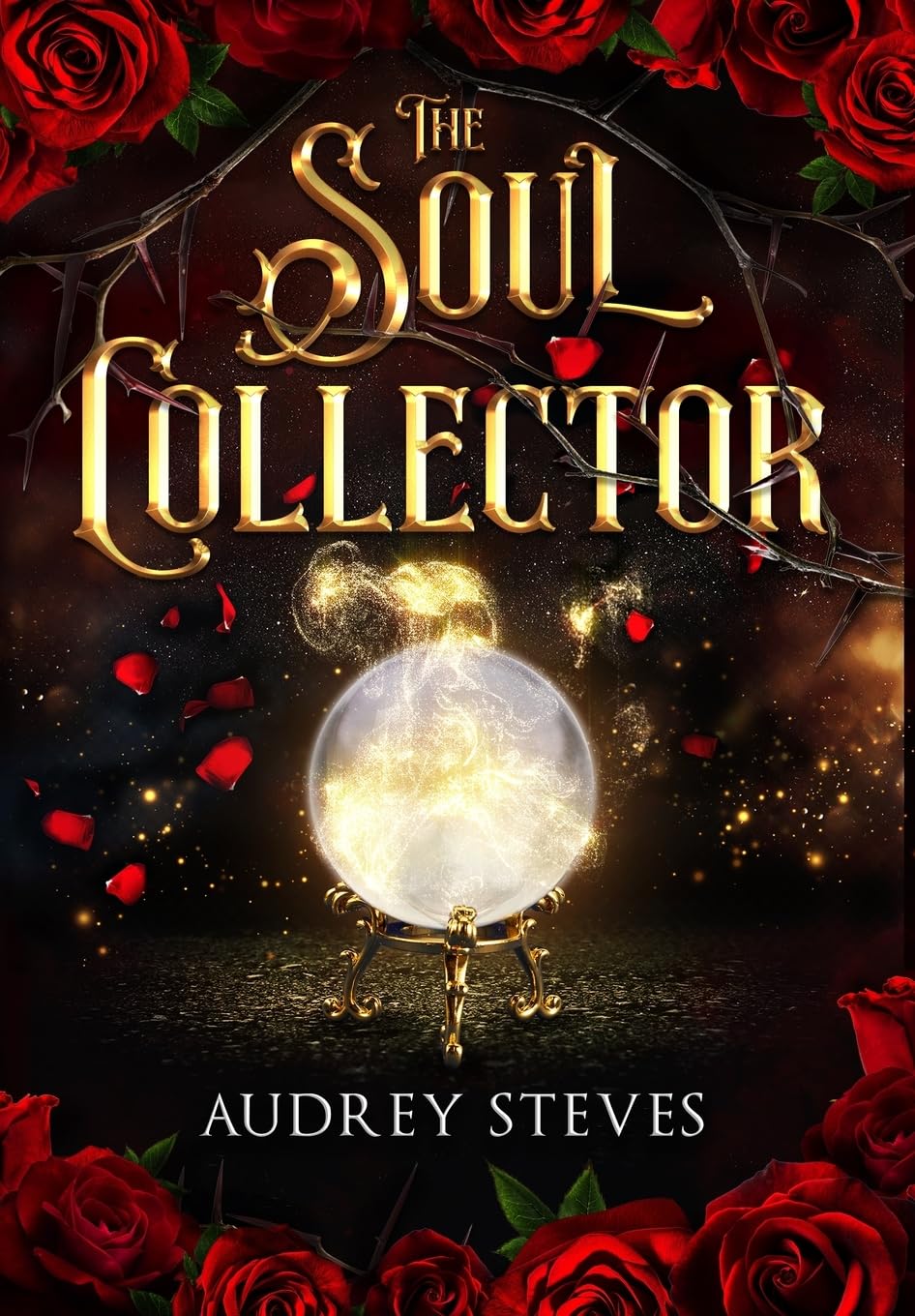 Amazon.com: The Soul Collector: 9798987443118: Steves, Audrey: Books