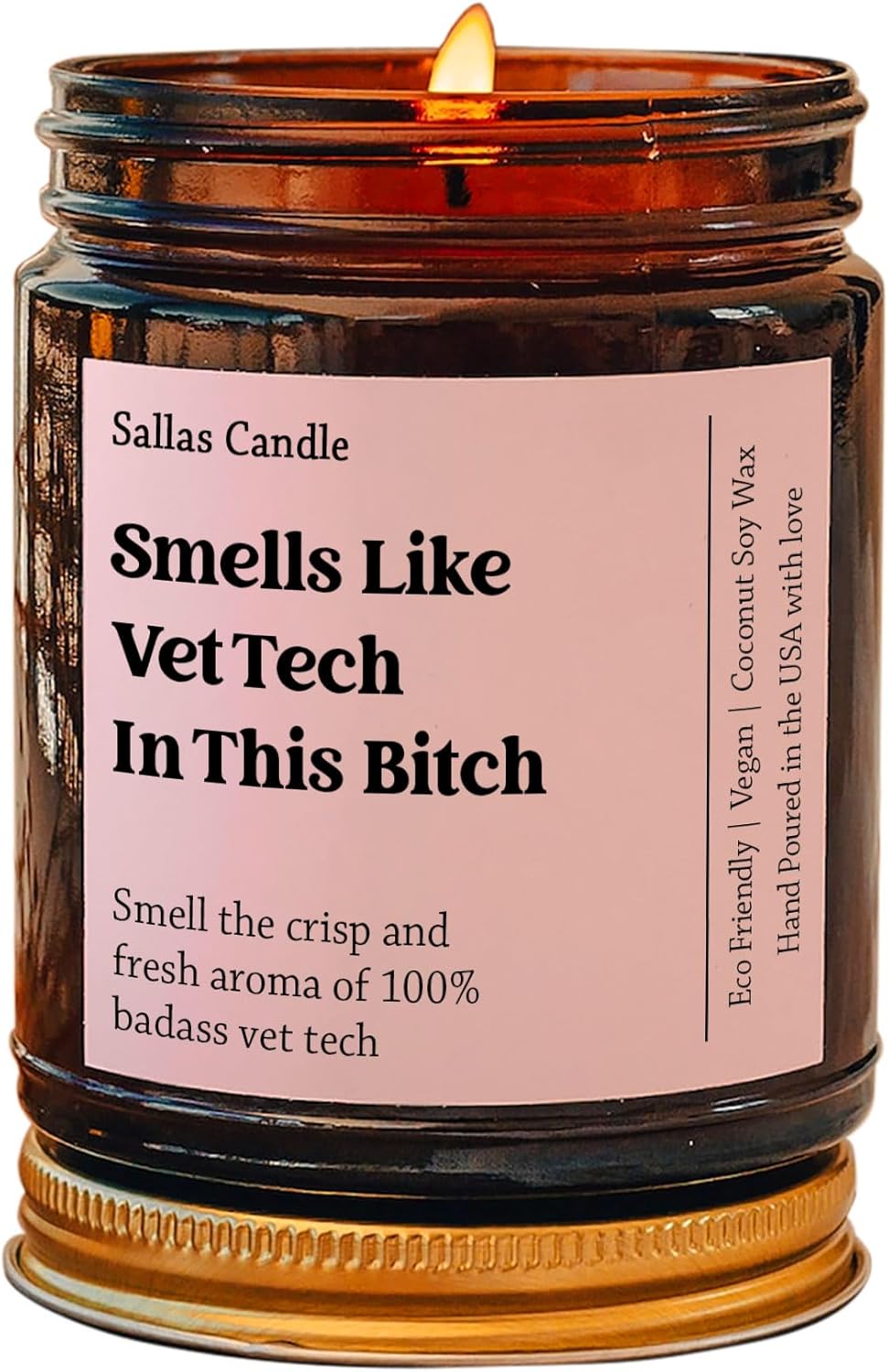 Amazon.com: Smells Like Vet Tech in This Bitch Soy Wax Candle, Gift for ...