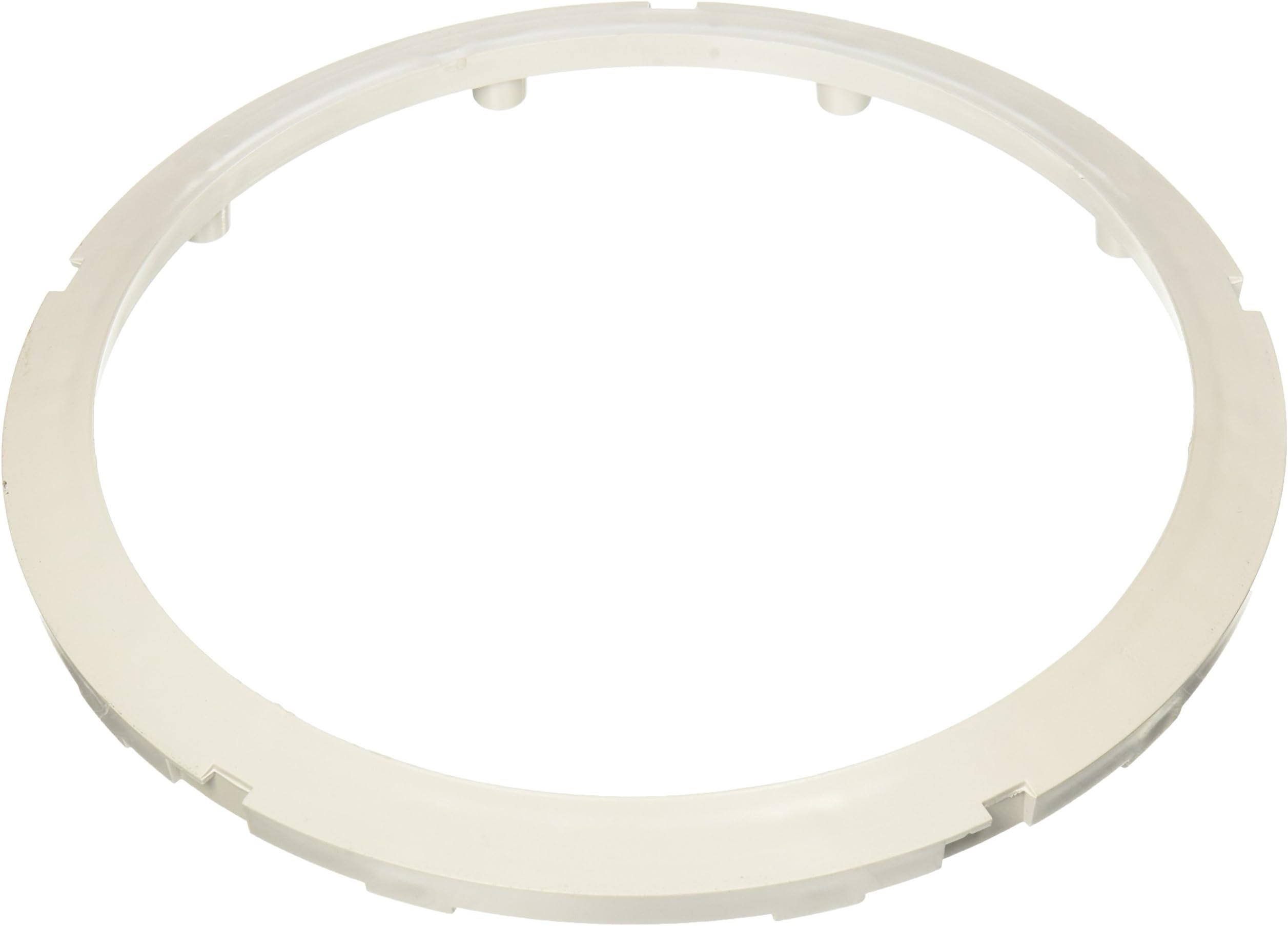 Amazon.com: Pentair 619601 White Face Ring Assembly Replacement ...