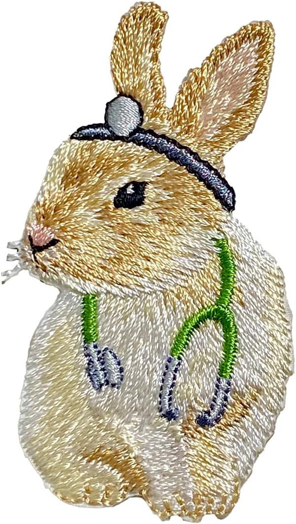Amazon.com: Doctor Rabbit with Stethoscope, Medical, Embroidered, Iron ...