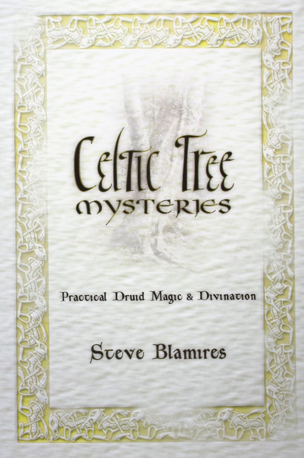 Celtic Tree Mysteries: Practical Druid Magic & Divination: Blamires ...