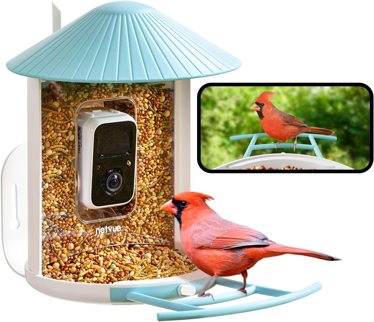Amazon.com : NETVUE Birdfy® Smart Bird Feeder with Camera, Bird ...
