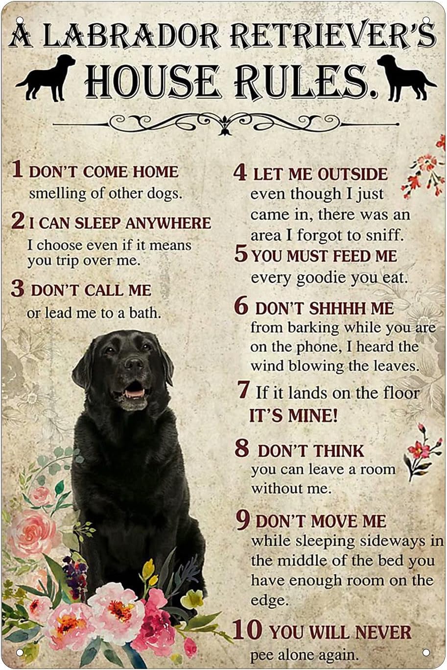 Amazon.com : Vintage Signs Wall Decor Dog Tin Sign Vintage A Labrador ...