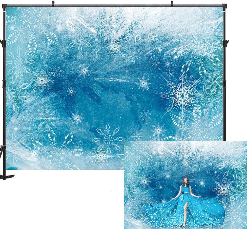 Amazon.com : 7x5ft Winter Ice Snowflake Backdrops for Photography ...