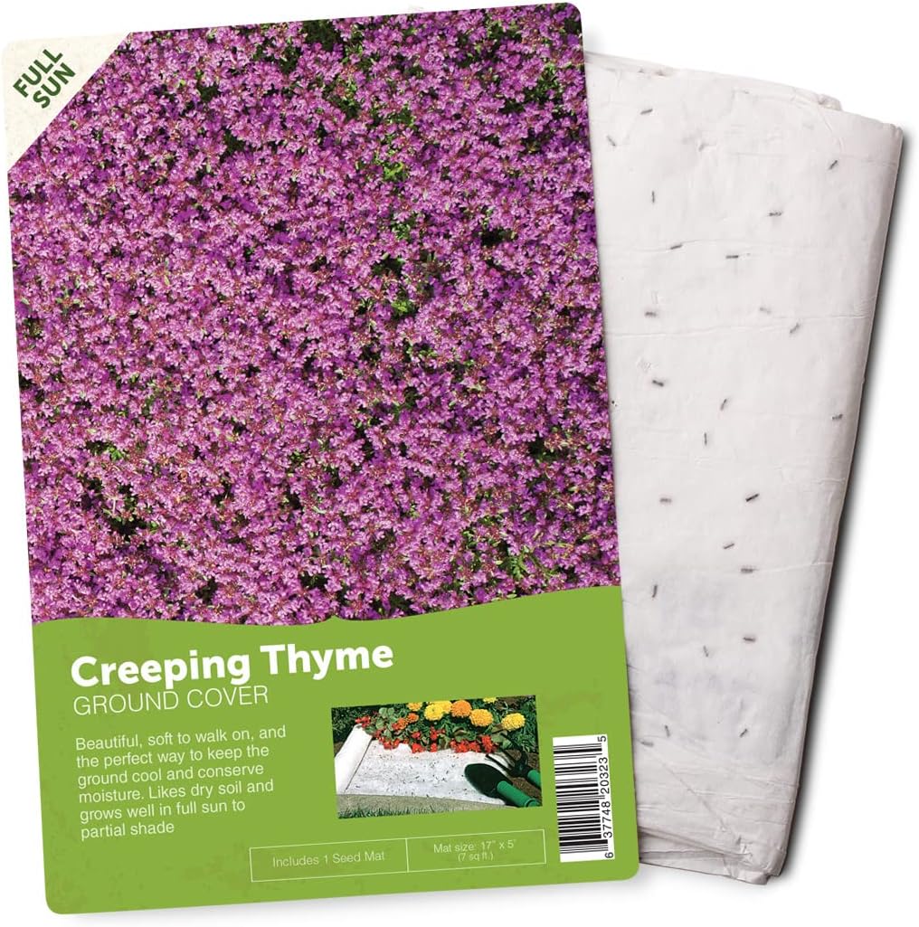Amazon.com : BloomingBulb Seed Mat - Easy to Plant and Grow Garden ...