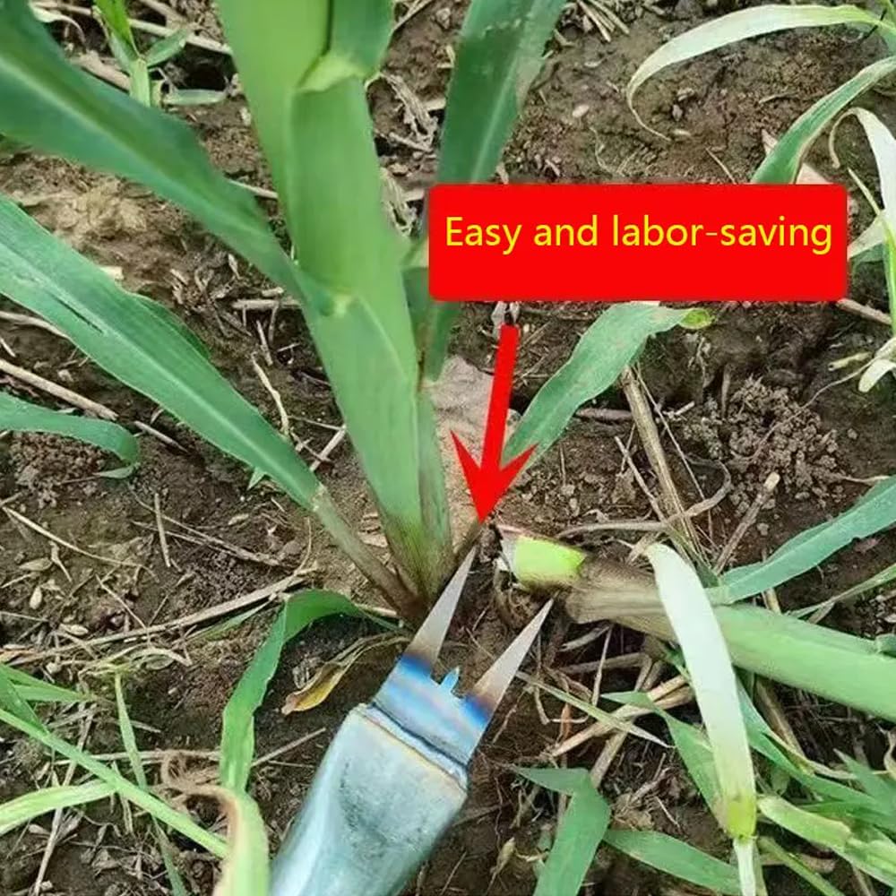 Snapklik.com : Breaking Corn Magic Tool In Addition To Seedling Forked ...