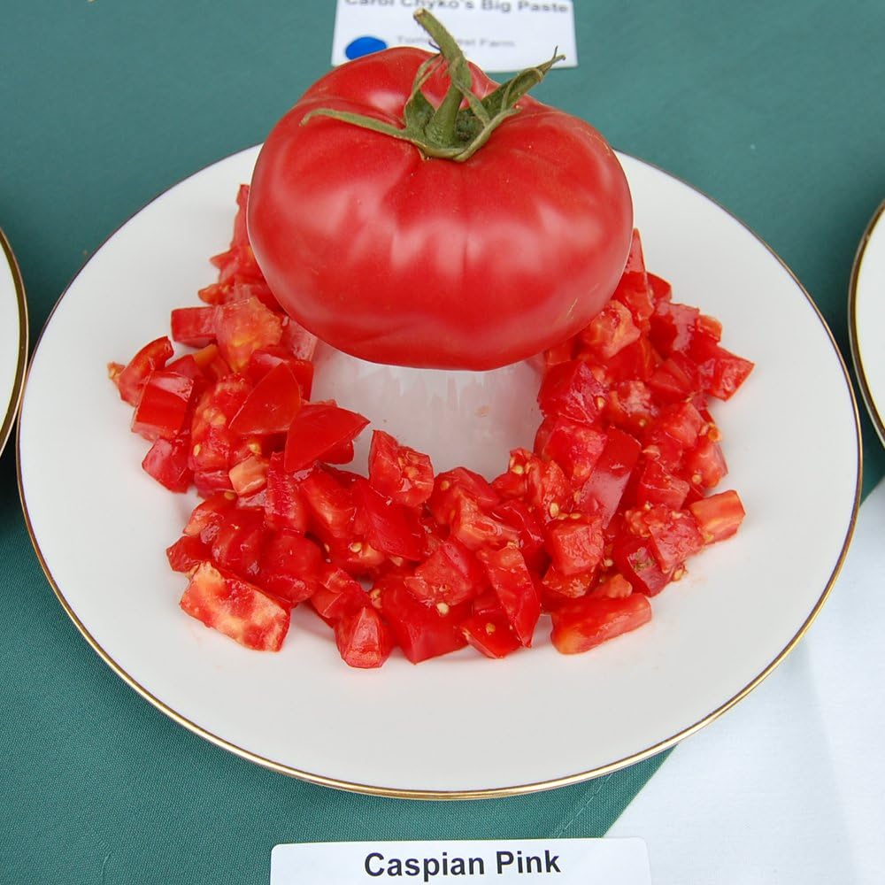 Amazon.co.jp: 【PLANT】Heirloom Tomato® Caspian Rose Pink エアルーム・トマト・カスピアン ...