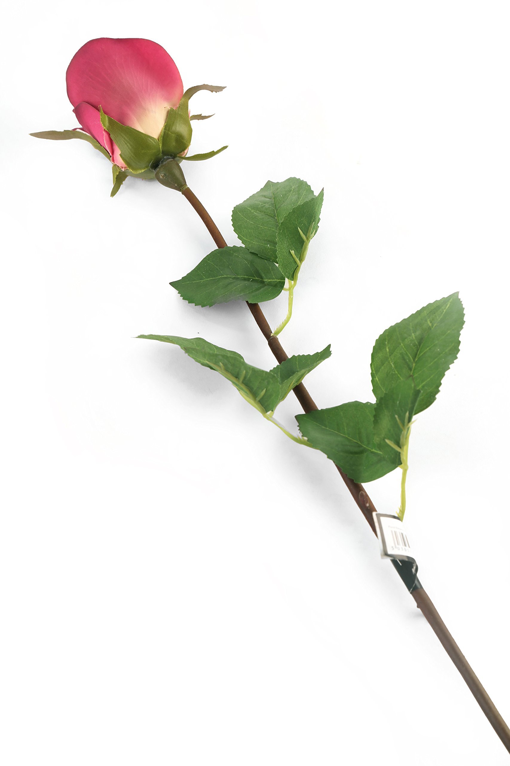 Single Closed Flower Bud