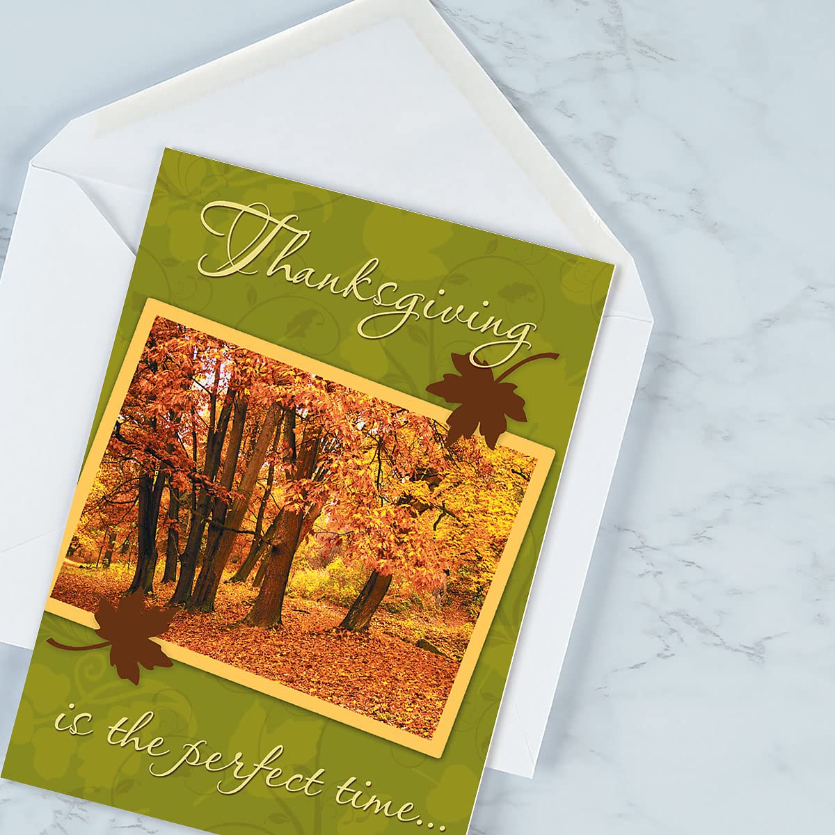 Snapklik.com : Current Photo Thanksgiving Greeting Cards Set - Themed ...