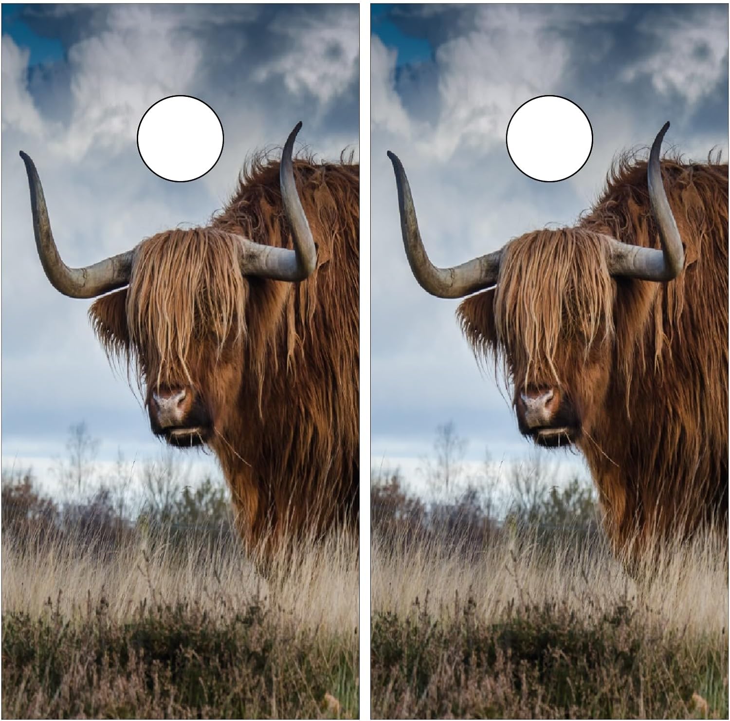 Amazon.com: Cornhole Board Game Decals 2'x4' Highland Cow Outdoor Bean ...