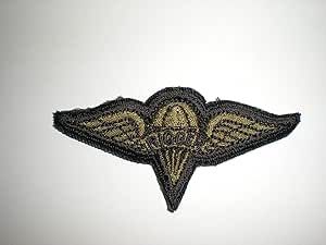 Amazon.com: Army Parachute Rigger Wings Patch - Subdued : Clothing ...