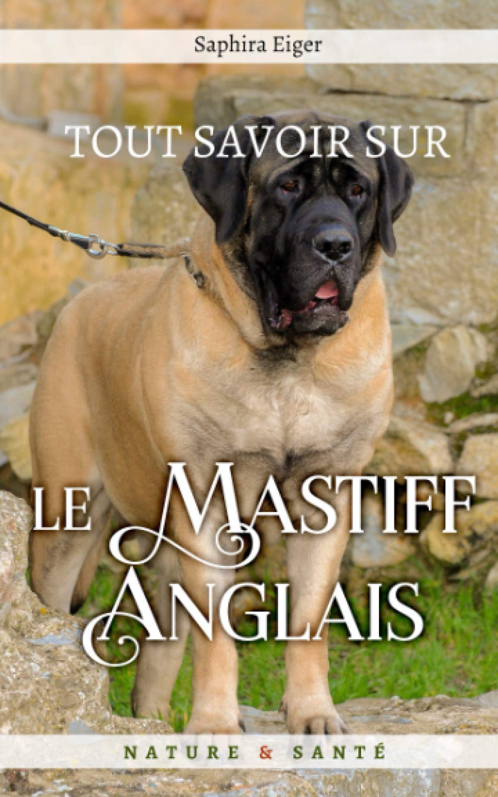 Chiens Mastiff Anglais Mastiff : Caractère, éducation & Santé