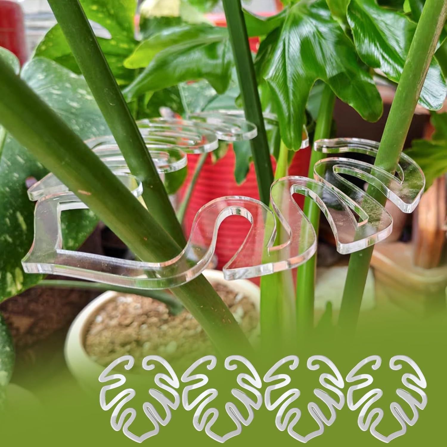 Amazon.com : KRRFDP Monstera Grapple, Clear Monstera Leaf Plant Support, Acrylic Aesthetic ...