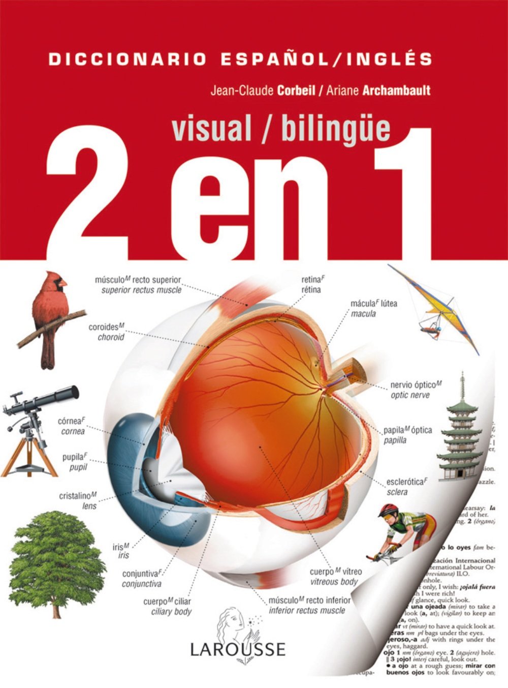 Amazon.com: Dicc. Visual Bilingüe 2 en 1 (Diccionarios visuales ...
