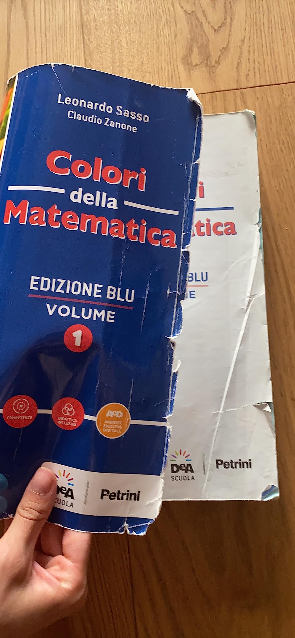 Colori della matematica. Quaderno. Ediz. blu. Per i Licei scientifici ...