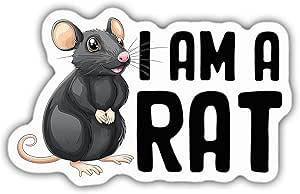 Amazon.com: Rat Sticker Rat Lover Decal Cute Animal I Am A Rat Vinyl ...