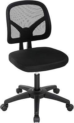 Amazon.com: Desk Chair, Swivel Computer Office Mesh Desk Chair Armless ...