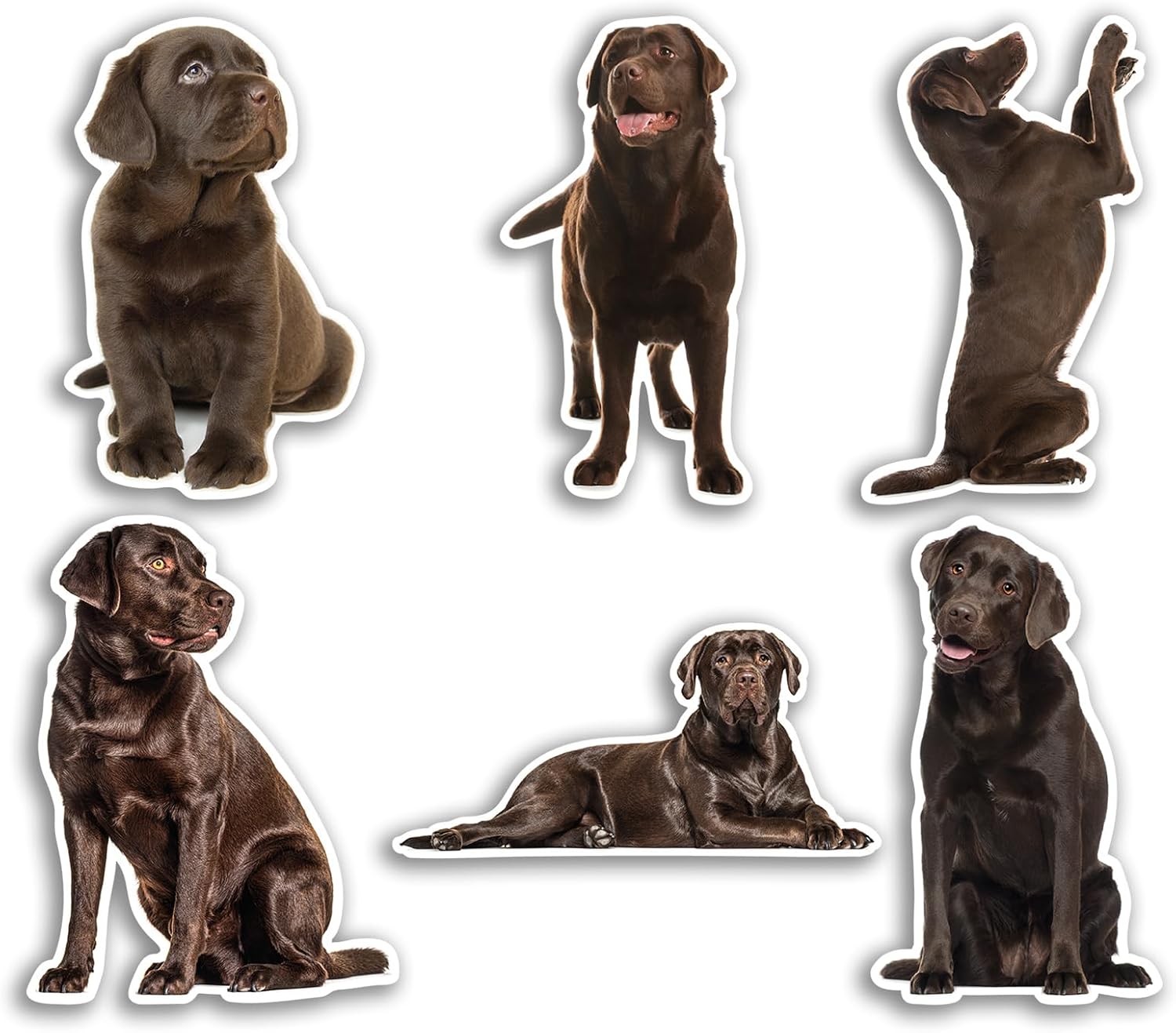 6 x 10cm Chocolate Labrador Vinyl Stickers - Dog Puppy Animal Funny ...