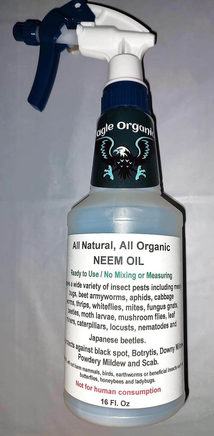 Amazon.com: NEEM Oil Organic Spray : Health & Household