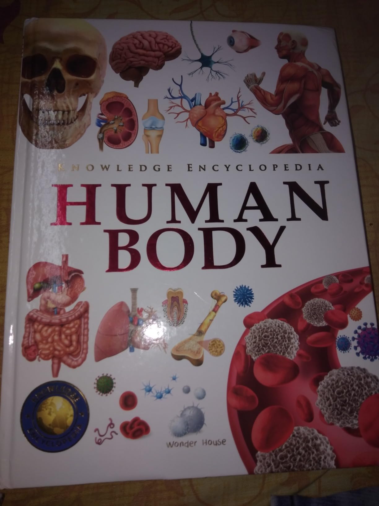 Knowledge Encyclopedia - Human Body (Knowledge Encyclopedia for ...