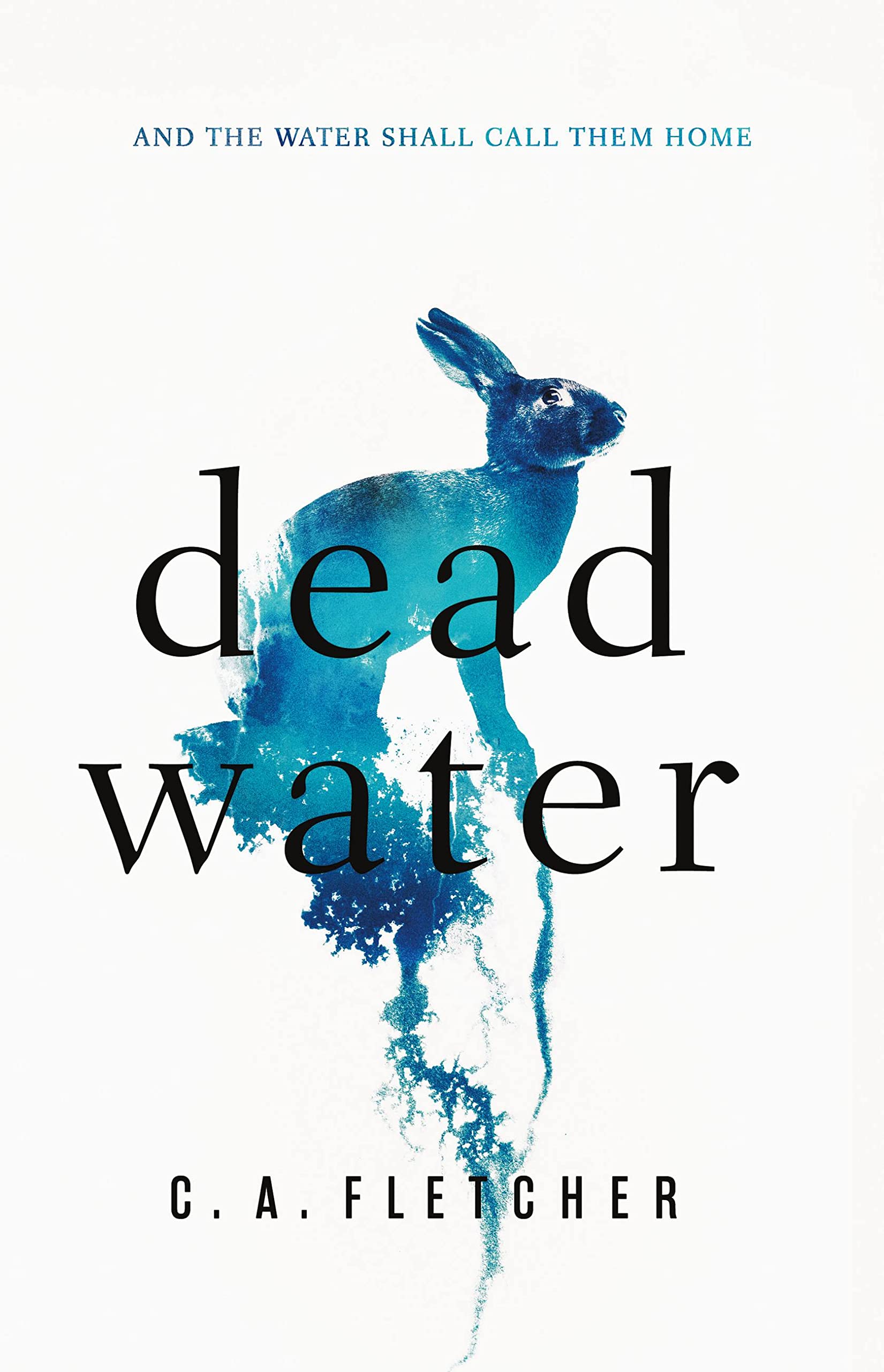 Dead Water: Fletcher, C. A.: 9780316538633: Amazon.com: Books